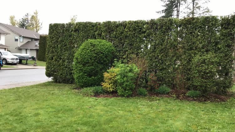 About Us – Skyline Landscaping & Tree Service, Mission BC
